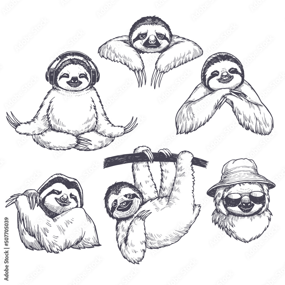 Vetor de Vector set of hand drawn illustrations of sloths in different ...