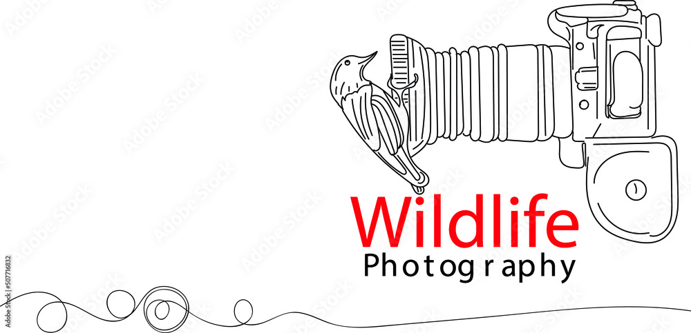 Wildlife Photography logo, Camera Vector, Sketch drawing of a sparrow ...