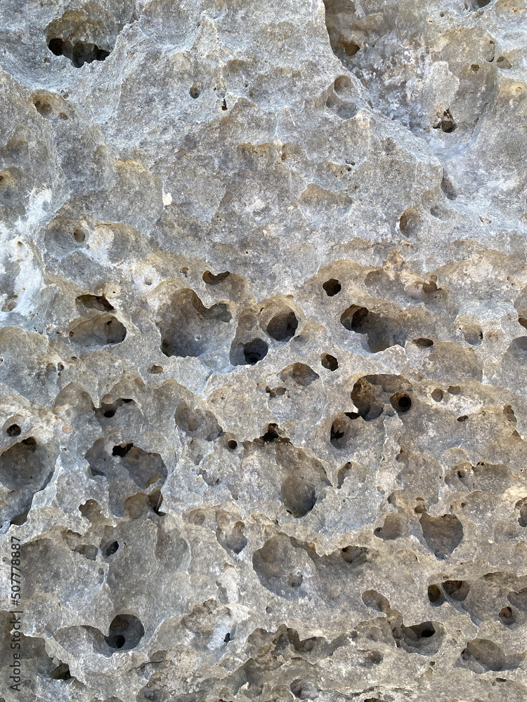 Vesicular texture: a volcanic rock texture characterized by a rock ...