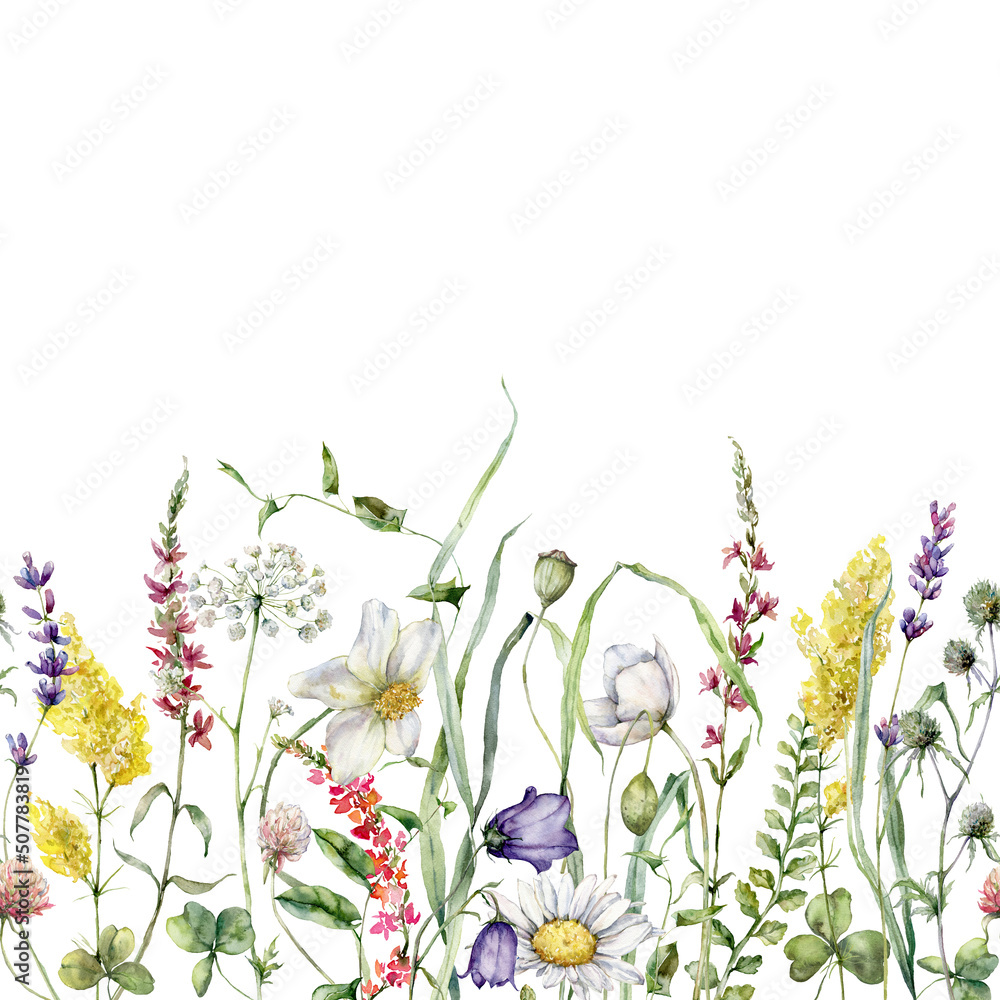 Watercolor meadow flowers border of chamomile, buttercup, tansy and ...