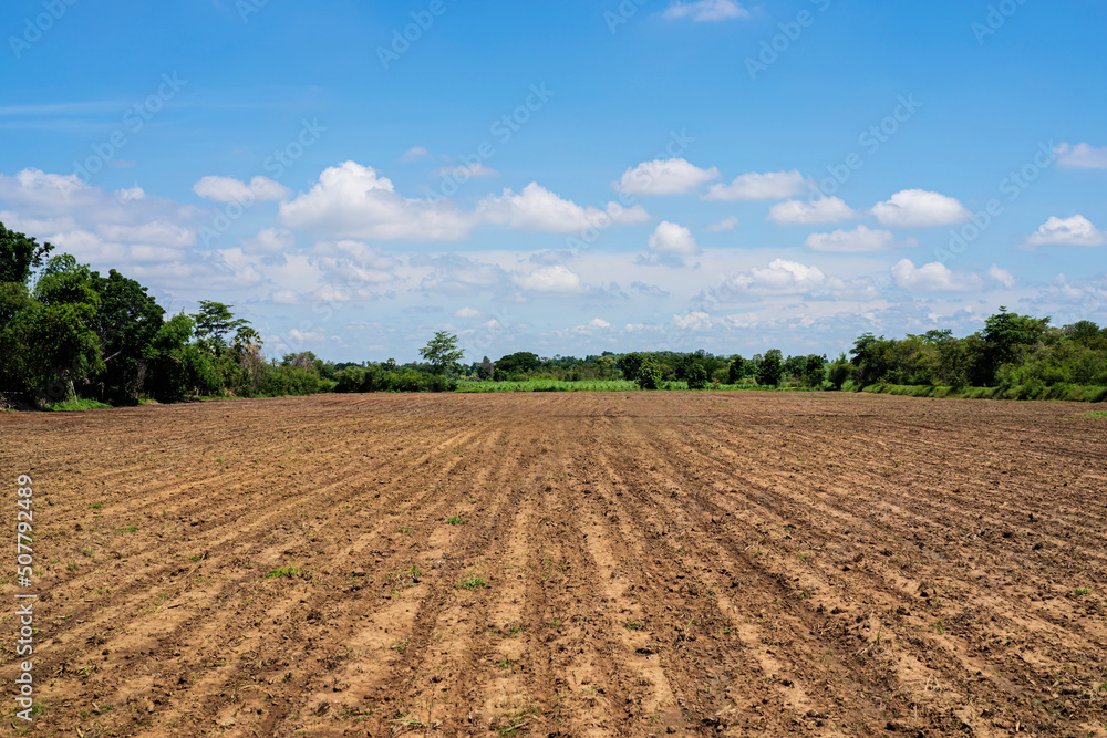 Empty dry cracked swamp reclamation soil, land plot for housing ... Empty dry cracked swamp reclamation soil, land plot for housing ...