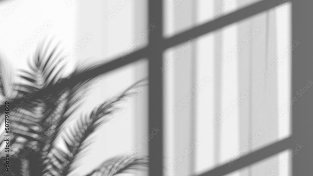 Game of shadow overlay with plant and window silhouette Stock ...