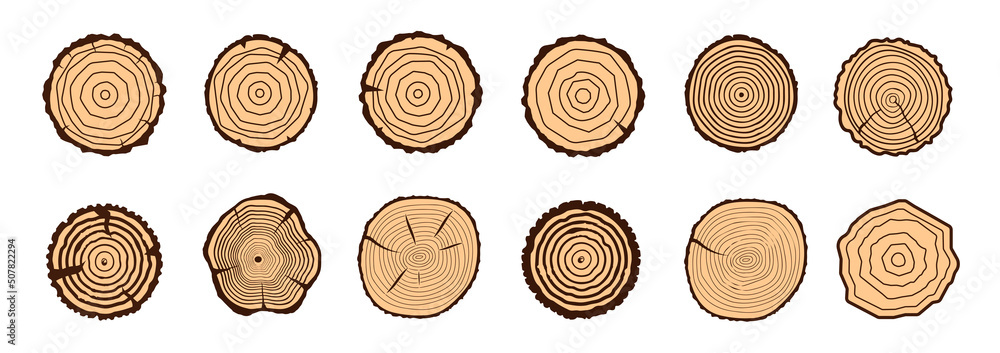 Round tree trunk cuts. Vector modern illustration Stock Vector | Adobe ...