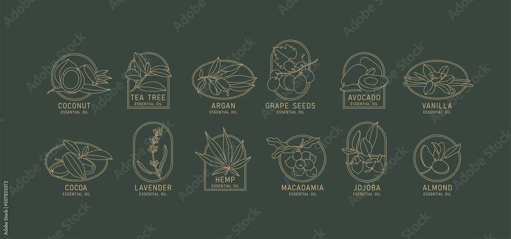 Vector set design templates and emblems - healthy and essential ...
