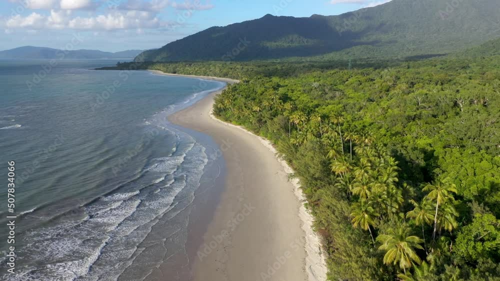 Cape Tribulation aerial of sunny Myall beach with palm trees, in ...