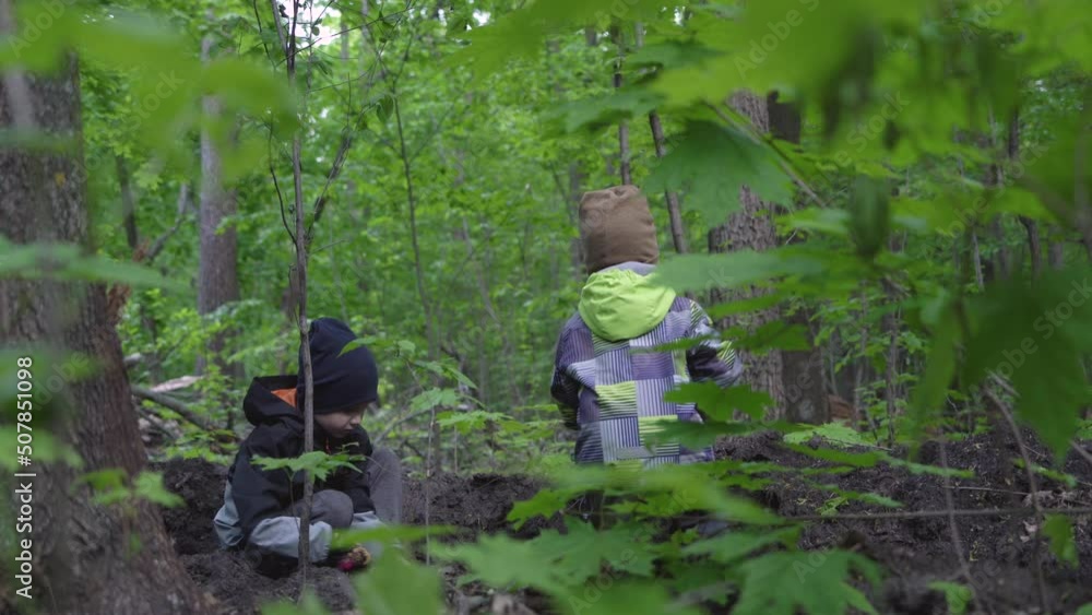 Two brothers are digging the ground in search of treasure. Children ...