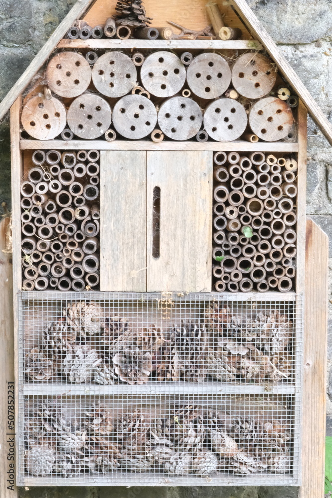Bug house closeup, selective focus. Insect hotel in British garden ...
