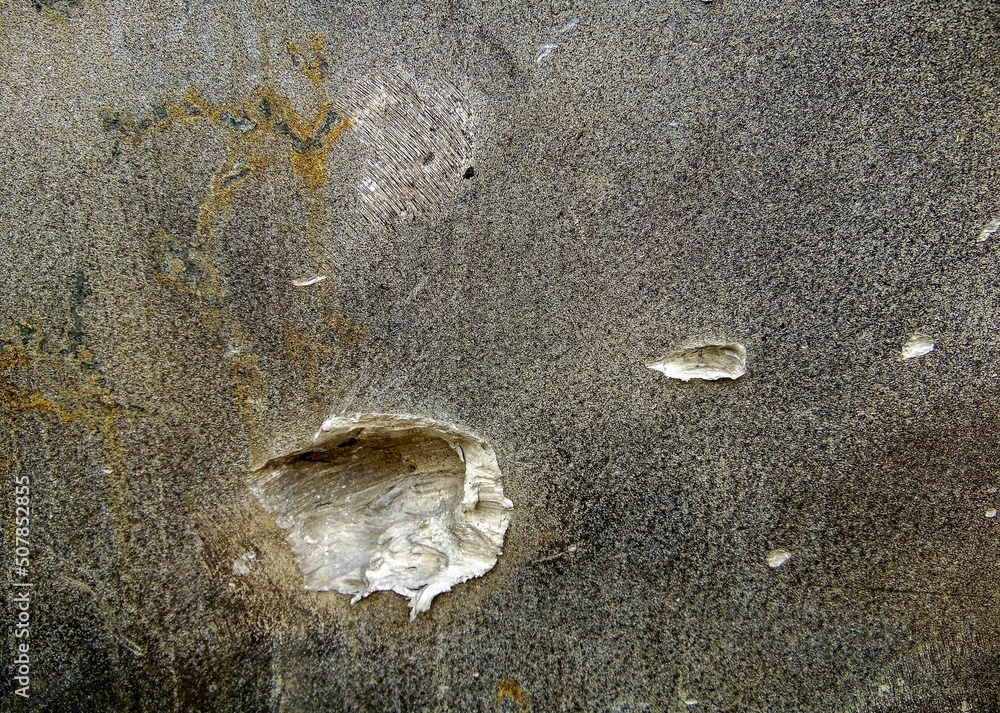tank armor slashed by shrapnel from a wrecked tank, close-up Stock ...