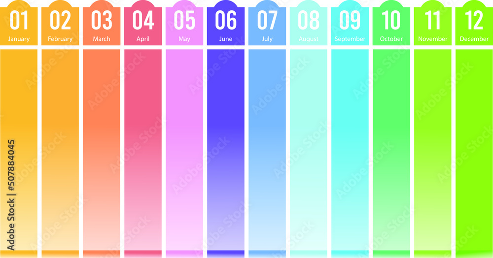 12 Monthly Timeline process and steps, +12 infographic, Each Months ...