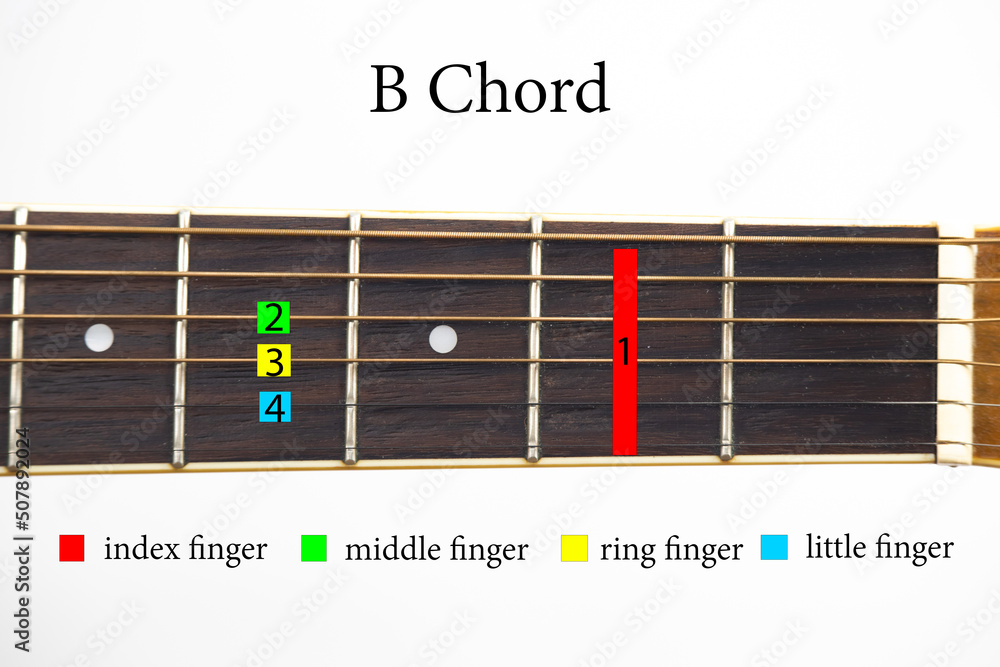 B Chord How to hold the correct chords tells the finger placement on ...