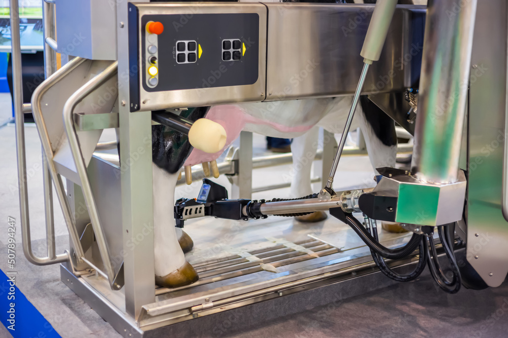 Automatic cow milking robot arm machine demonstrates functionality at ...