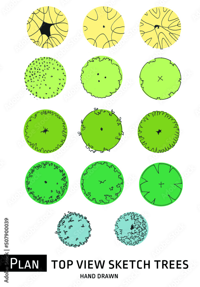 Plan sketch shrub trees nd bushes symbols hands draw. Garden plants top ...