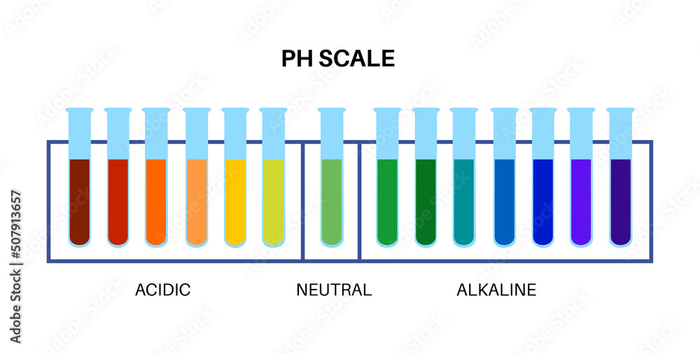 PH scale diagram Stock Vector | Adobe Stock