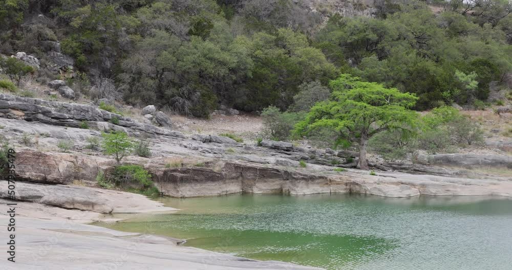 Pedernales Falls Park Texas river tree. Pedernales River, hiking ...