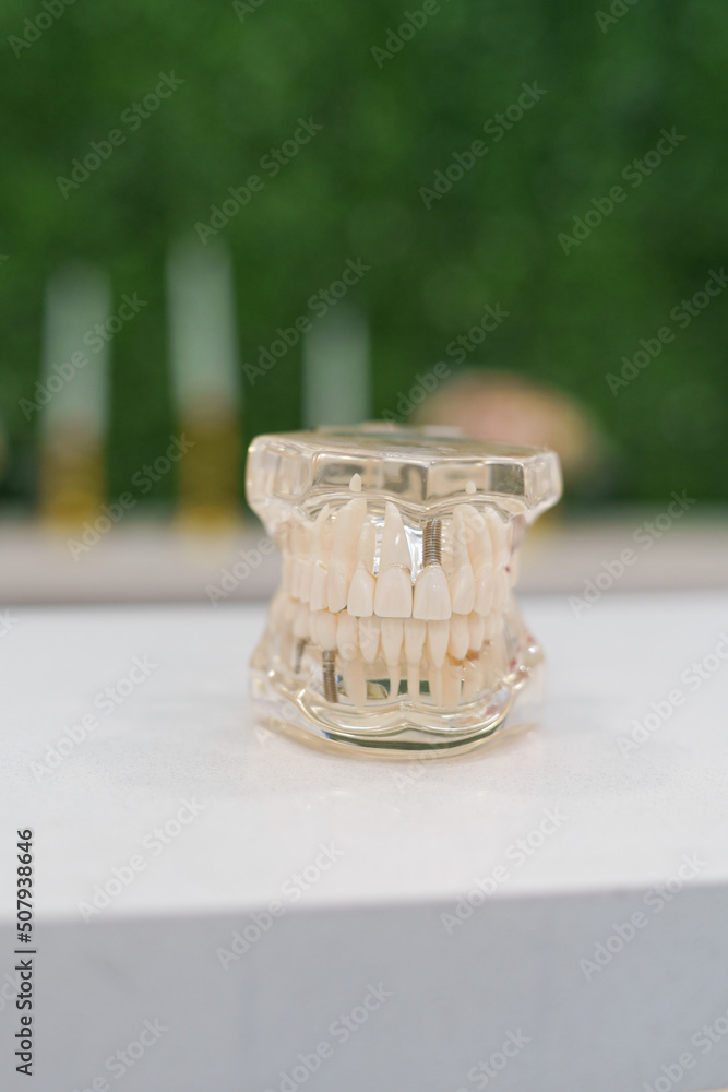 detail of medical object in studio, glass denture, didactic article ...