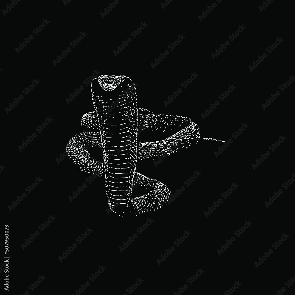 Yellow Cobra hand drawing vector illustration isolated on black ...