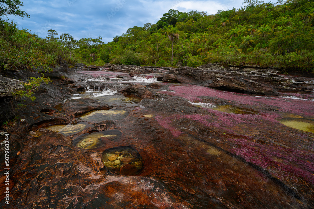 The rainbow river or five colors river is in Colombia one of the most ...