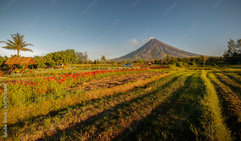 Mayon Volcano with a leading lines from rice fields in legazpi city ...