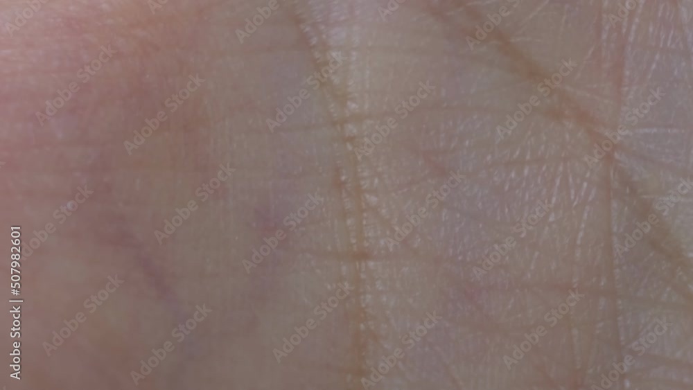 Lines on the palm of the hand close up. human hand texture background ...