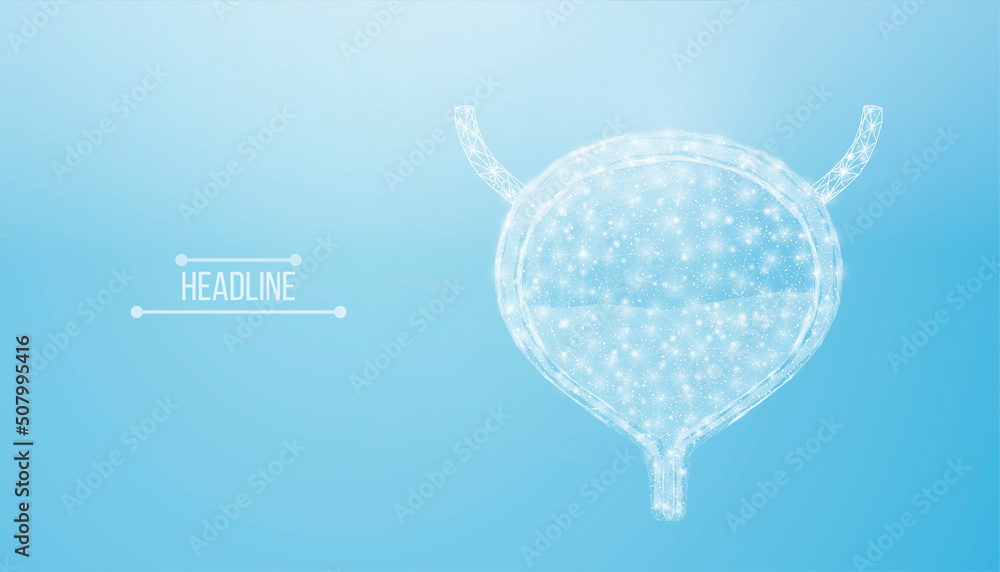 Human bladder. Design element for medical concept, bladder cancer ...