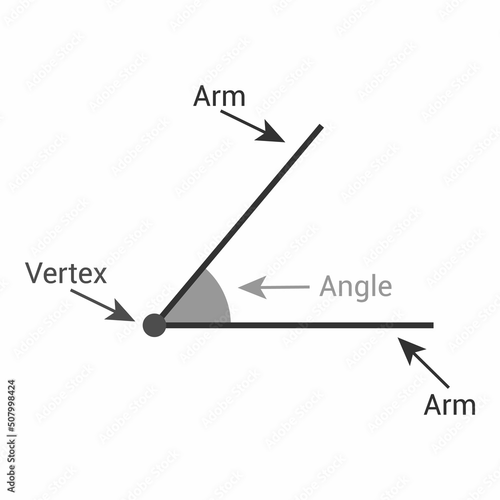 Parts of an angle in mathematics Stock Vector | Adobe Stock