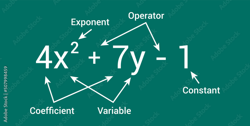 parts of polynomial algebraic expressions Stock Vector | Adobe Stock
