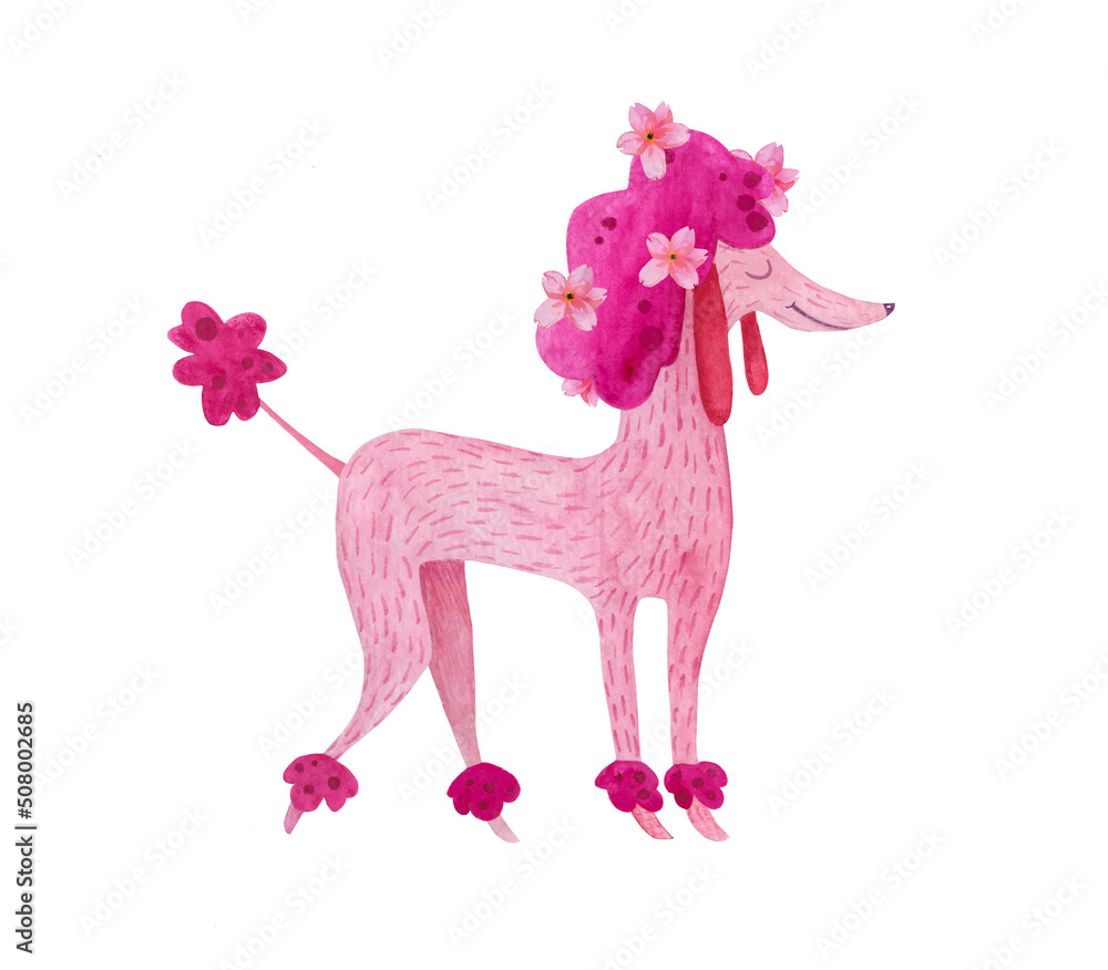 Cute pink cartoon poodle hand drawing in watercolor. Adorable smiling ...