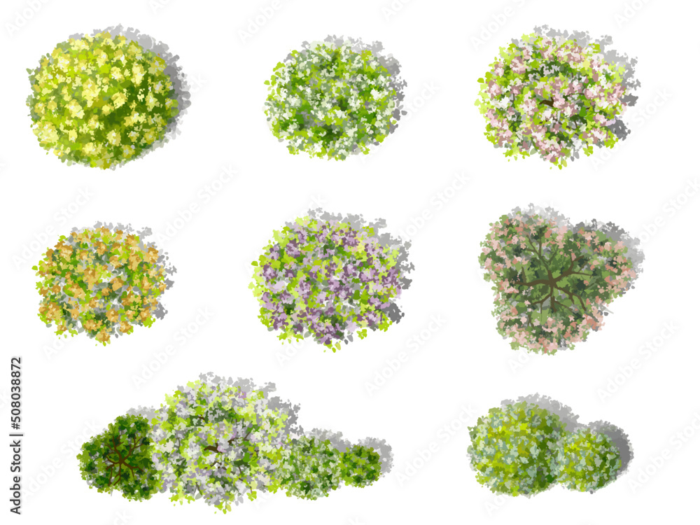 Vector watercolor blooming flower tree top view isolated on white ...