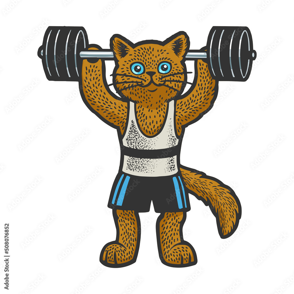 Cat weight lifter athlete color sketch engraving vector illustration. T ...