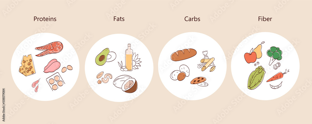Vector illustration of micronutrients. Icons are fats, proteins, fiber ...