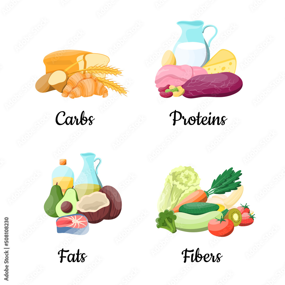 Cartoon Color Macronutrients Educational Diet Icons Set Concept Flat ...