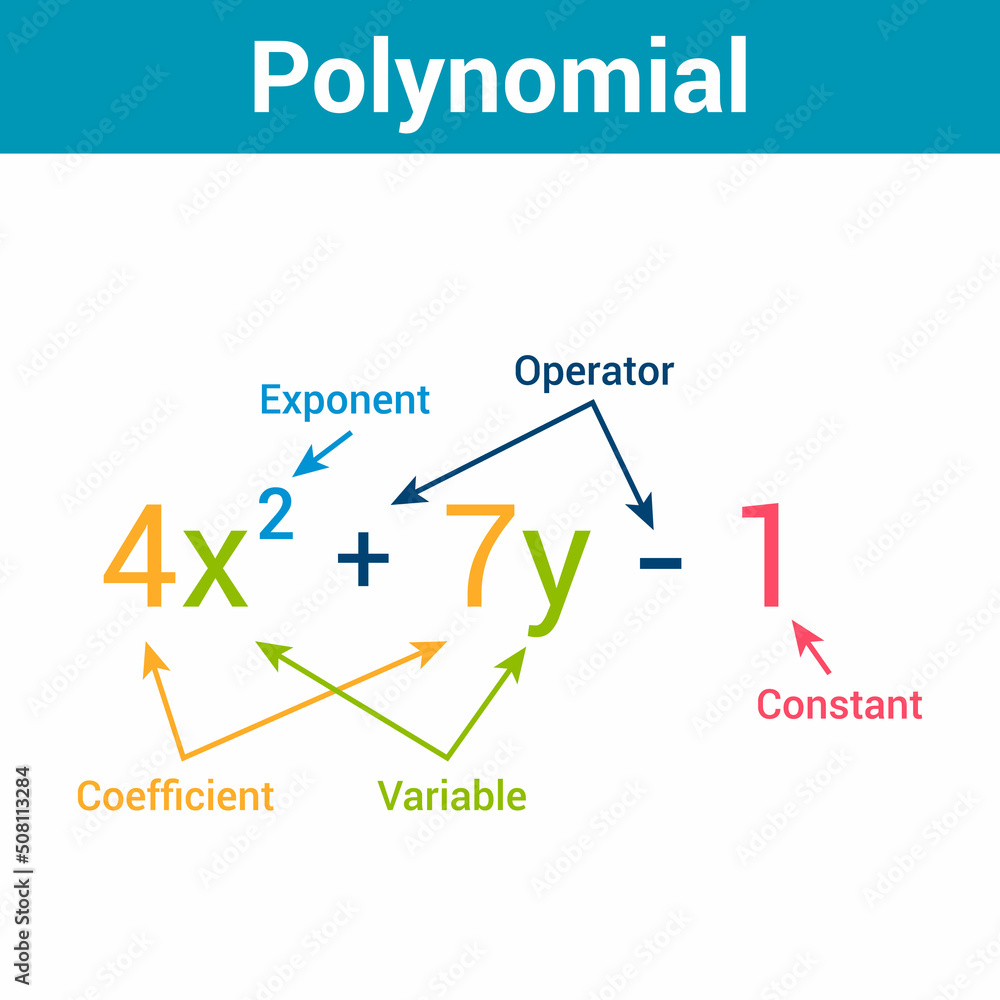 parts of polynomial algebraic expressions Stock Vector | Adobe Stock