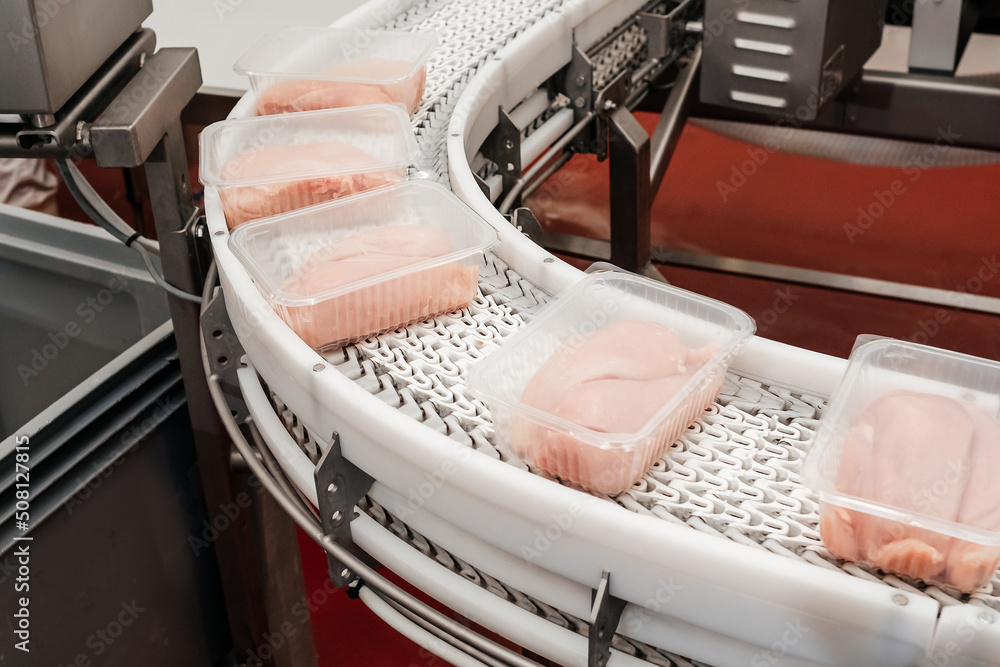 A modern plant.Factory production food from meat. Production line with ...