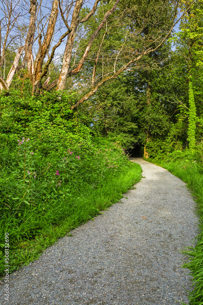 Sunny summer morning a walking footpath in woodland. This trail has 10 ...