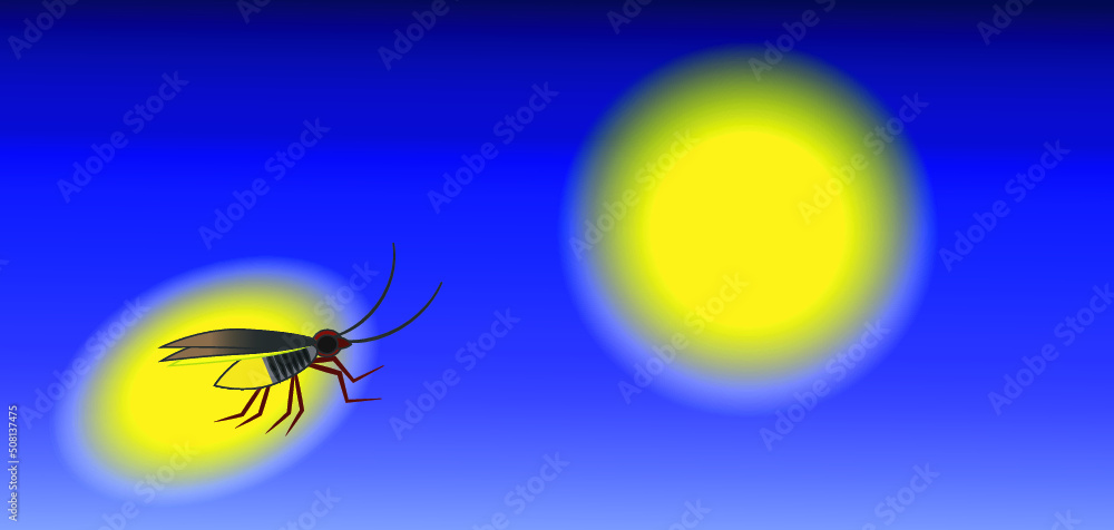 Beautiful firefly spread wings and light at the end of the body. design ...