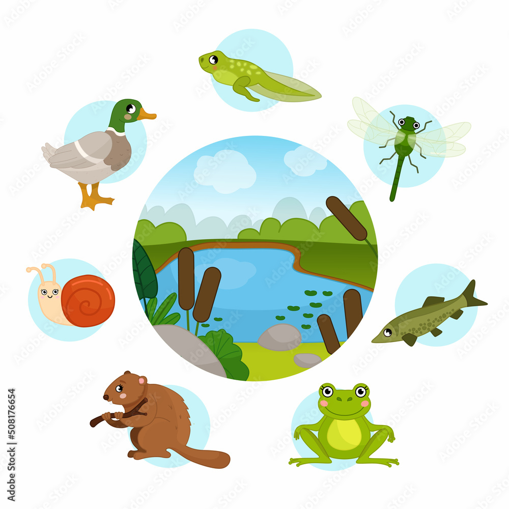 Pond Animals Clipart