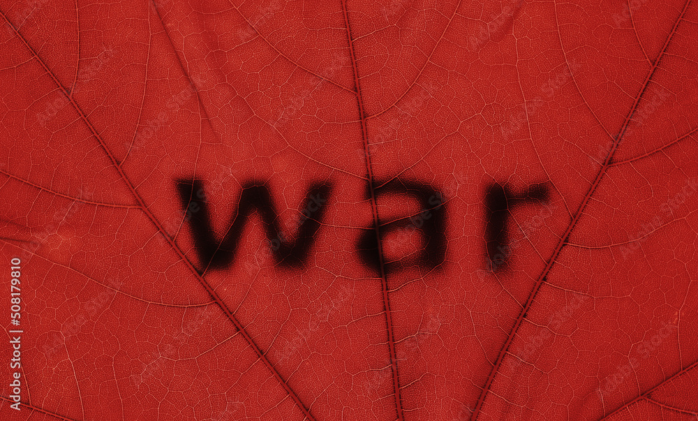 Word 'War' inscribed on a Red Maple Leaf. Autumnal background. Red ...