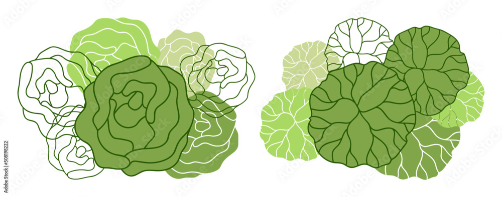 Set of vector trees. Entourage design for the plan. Various trees ...