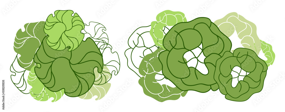 Set of vector trees. Entourage design for the plan. Various trees ...