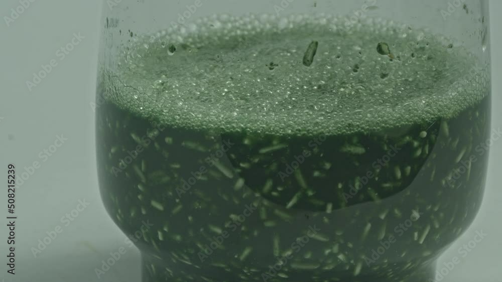 Bring fresh Trichoderma fungi into a container and add water to flood ...