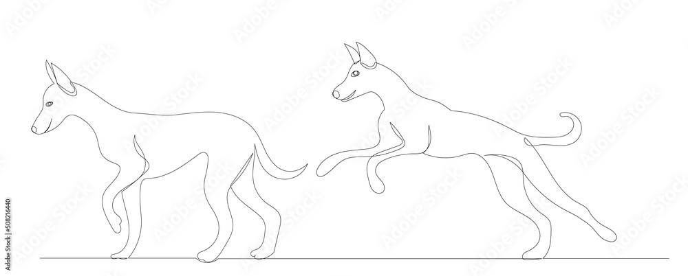 dogs playing one continuous line drawing, sketch, isolated, vector ...