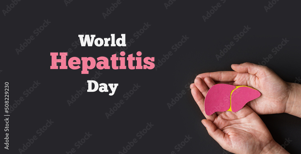 World hepatitis day. Adult hands holding donation liver on black ...