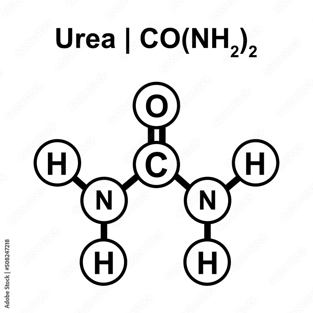 Molecular Model Of Urea (CO(NH2)2) Molecule. Vector Illustration. Stock ...