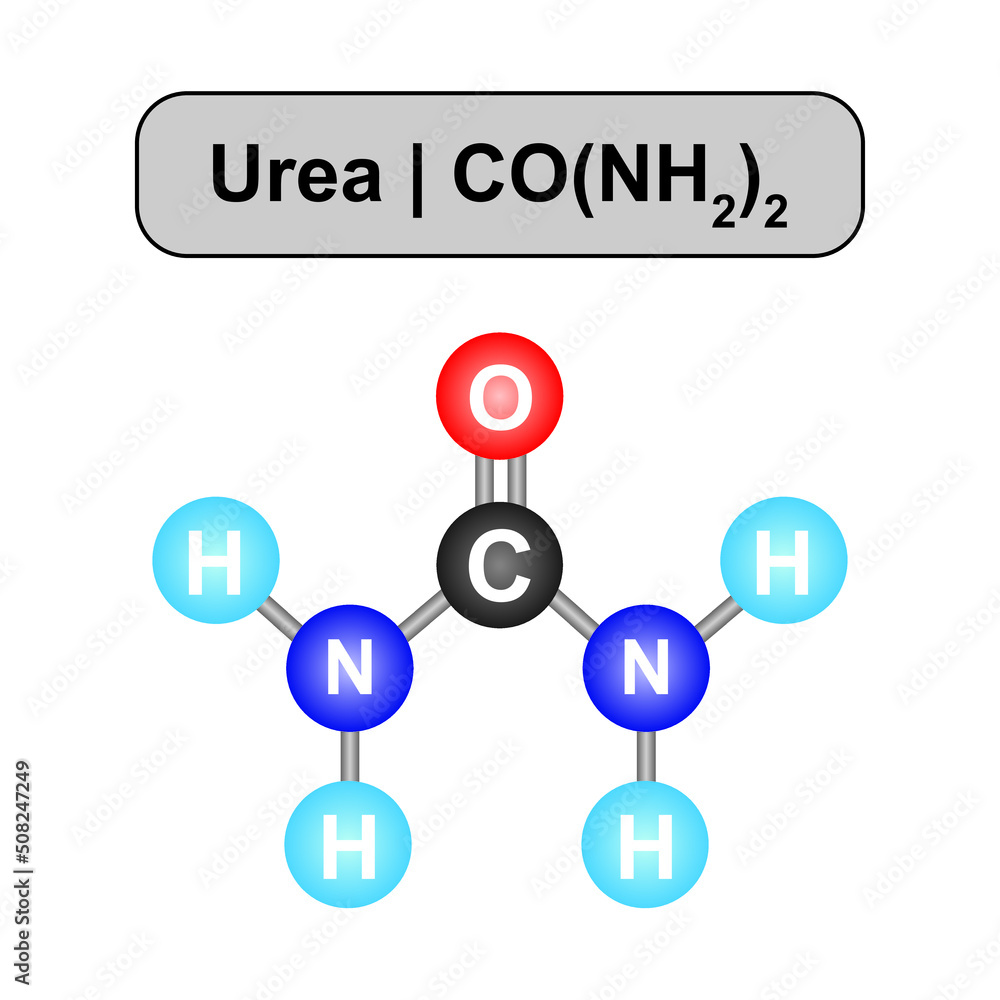 Molecular Model Of Urea (CO(NH2)2) Molecule. Vector Illustration. Stock ...