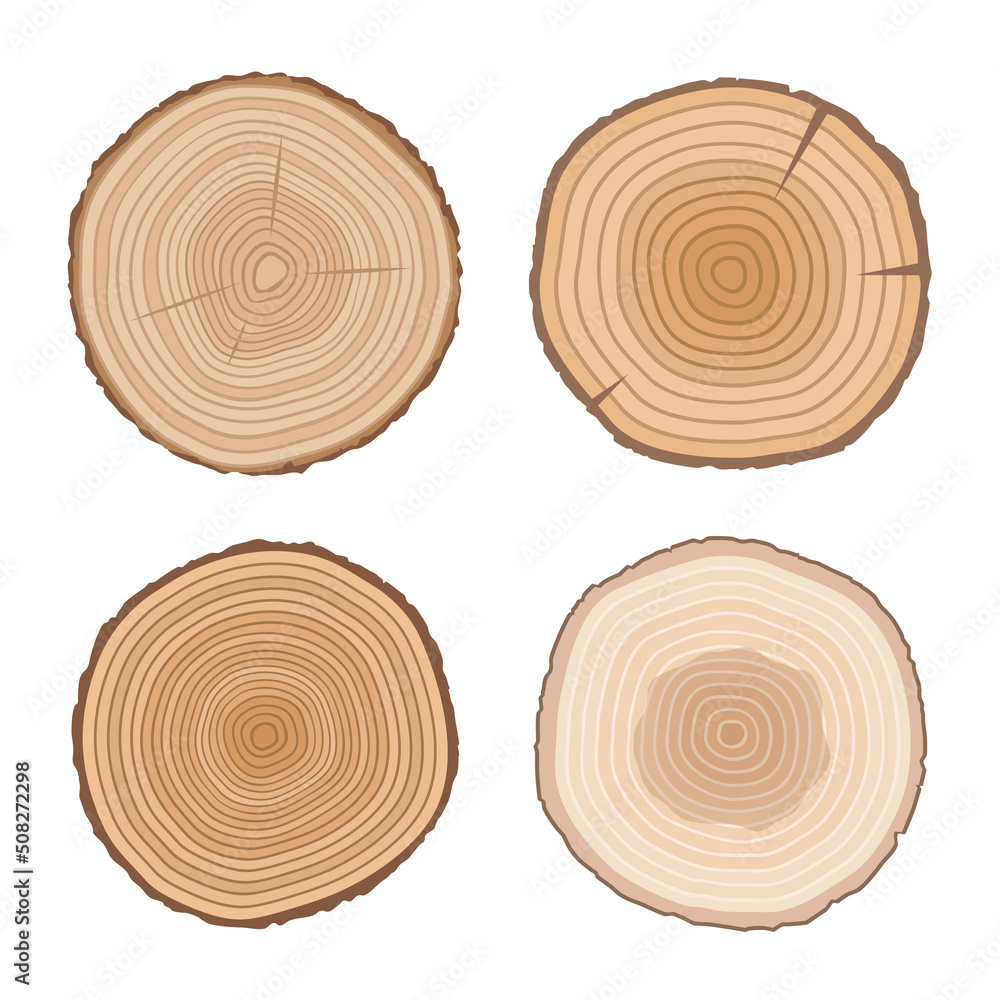 Set of tree cross sections. Wooden elements with tree rings.Isolated on ...