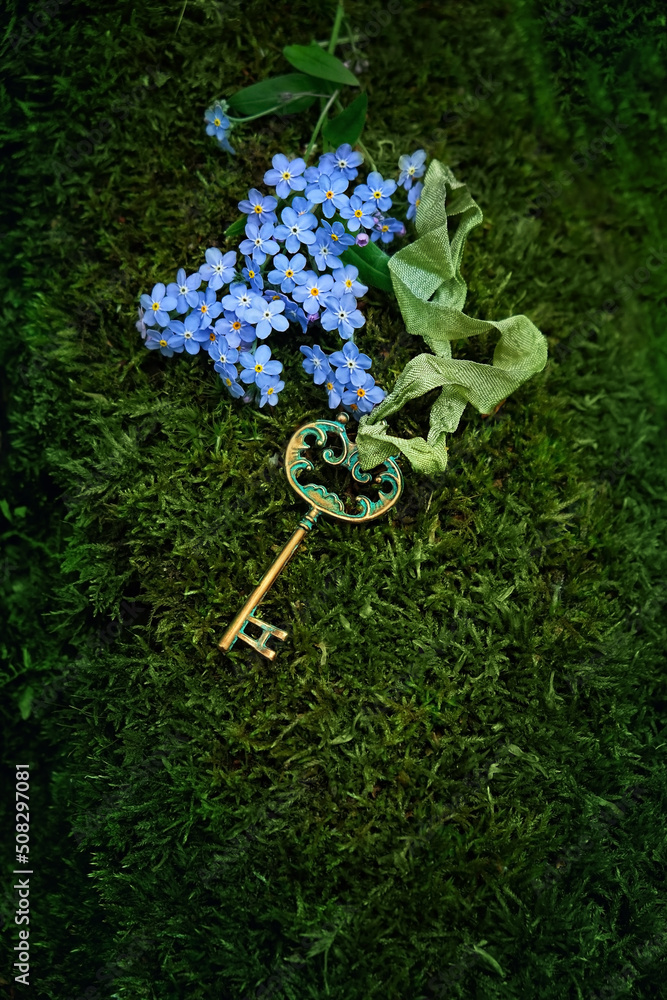 What Flower Is The Symbol Of Secrecy | Best Flower Site