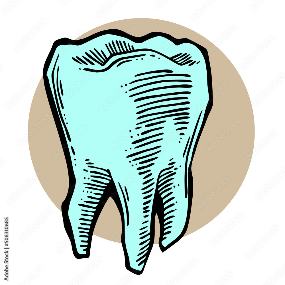 Root tooth. Beautiful healthy tooth is symbol for health dental care ...