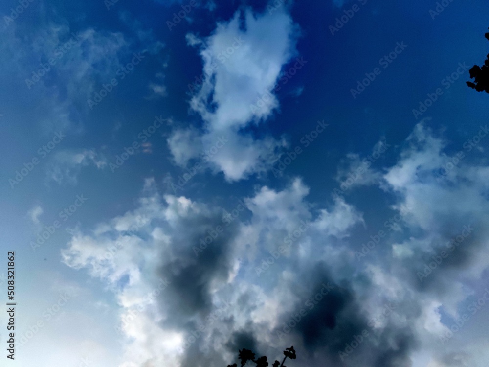 Light sky with clouds. Under a bright white sky with high solid clouds ...