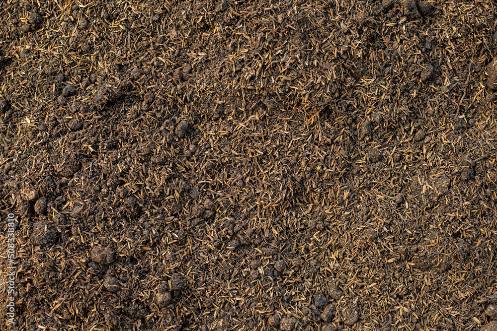 Soil for planting. Rice husk mixed with soil and manure. Soil ...