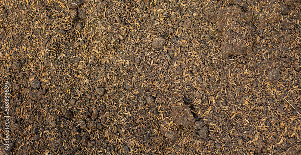 Foto de Soil for planting. Rice husk mixed with soil and manure. Soil ...